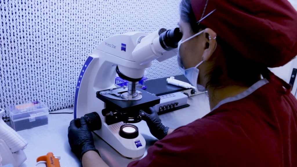 Microdisección TESE Puerto Vallarta | LIV Fertility Center México